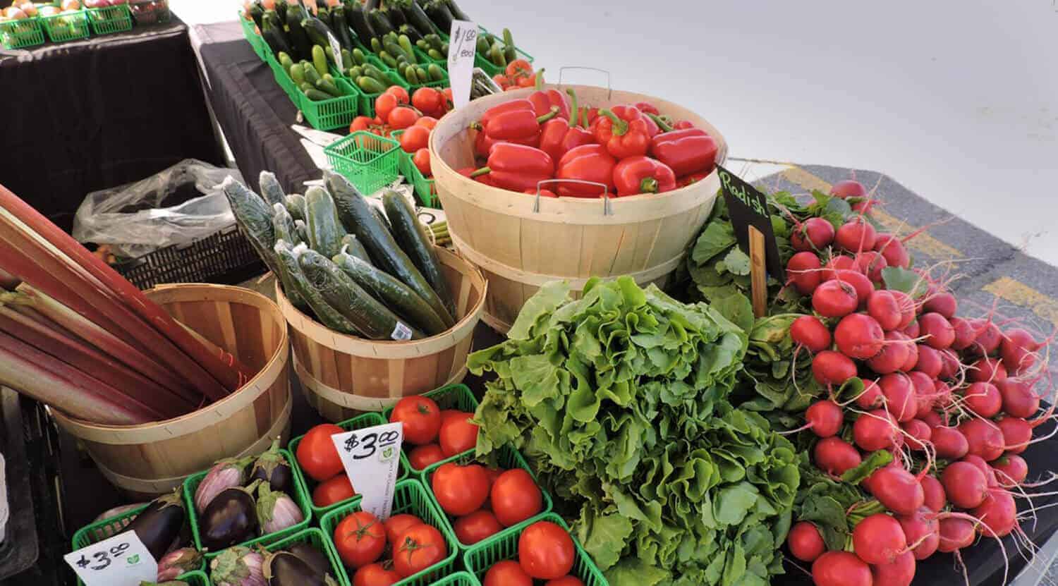 Fall fair returning soon to Milton Fairgrounds - YourCityWithIN.com