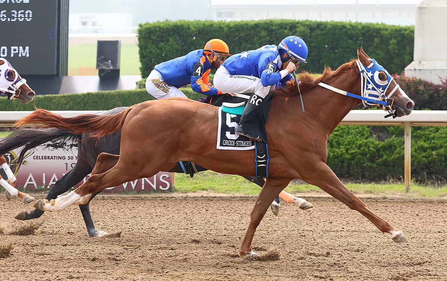 General Skywalker honours sire with win in Stallion Auction Futurity ...