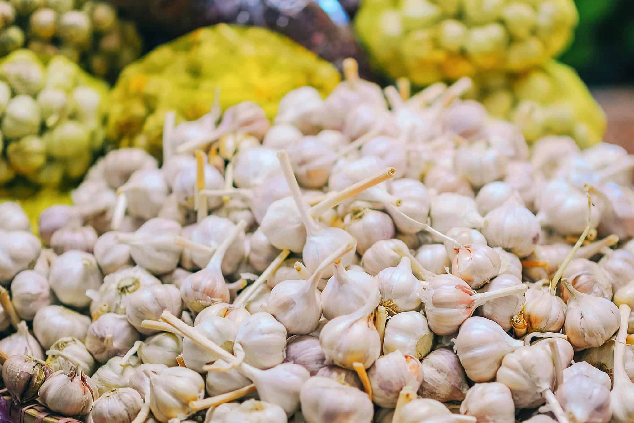 Garlic festival closes street in Toronto this weekend - YourCityWithIN.com