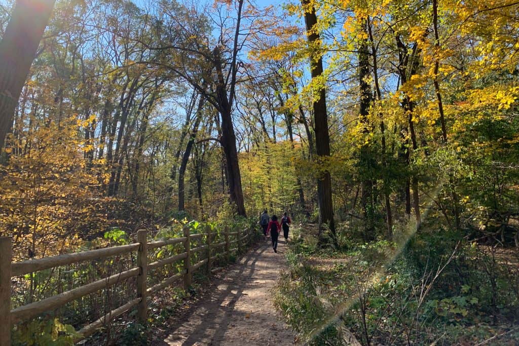 5 walks to see spectacular fall colours in Toronto - YourCityWithIN.com