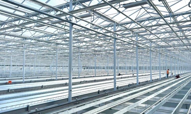 Canada's first fully automated greenhouse just opened at a farm in ...