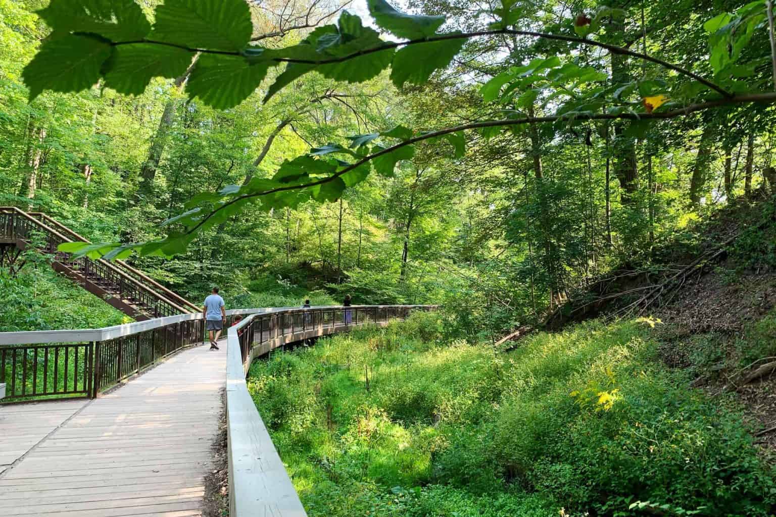5 great ravine hikes in Toronto - YourCityWithIN.com