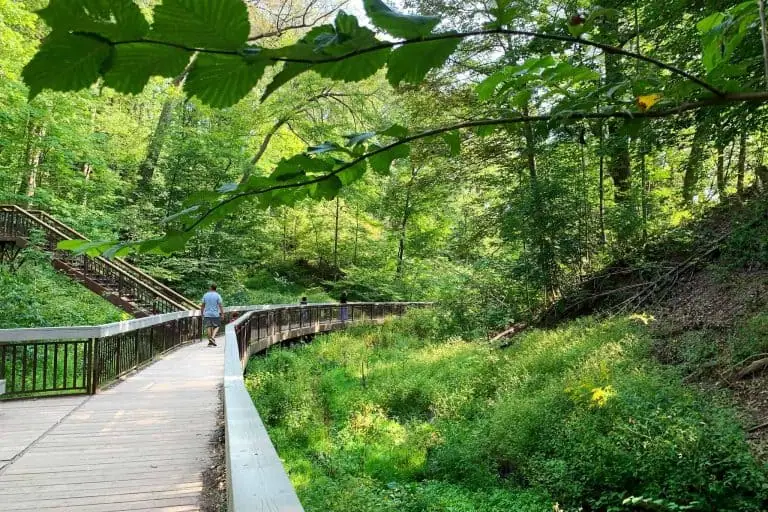 5 great ravine hikes in Toronto - YourCityWithIN.com