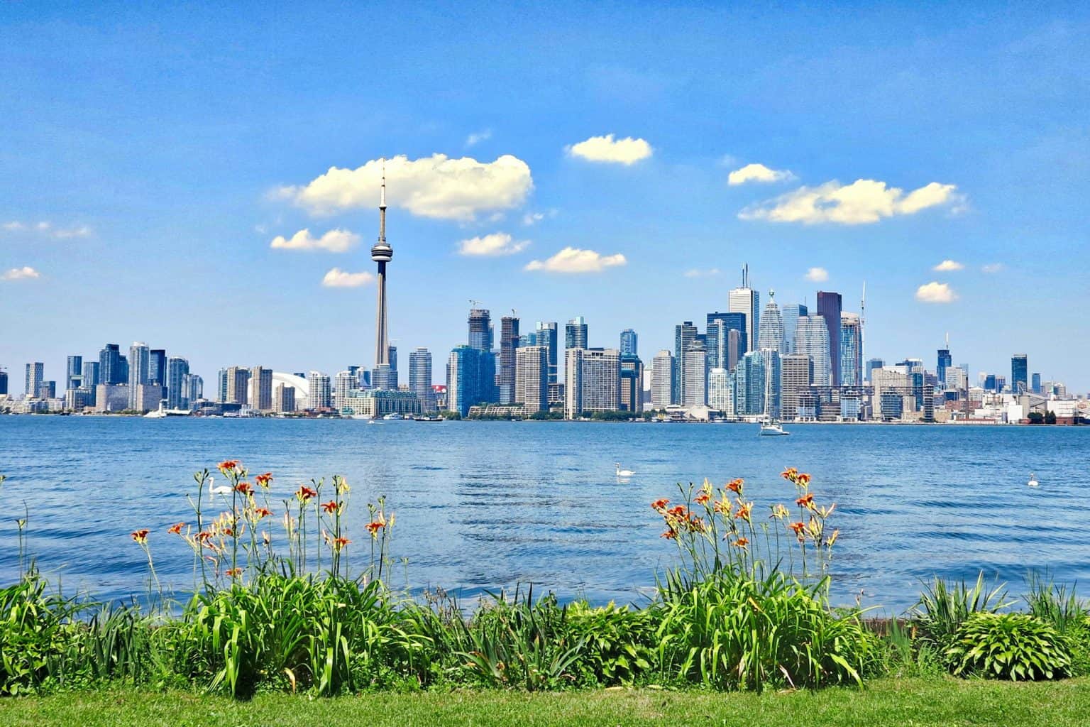 Weekend Weather: Below-normal temperatures forecast for Toronto ...